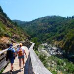 From Porto: 516 Arouca Bridge and Paiva Walkways Guided Tour - An In-Depth Look at the Experience
