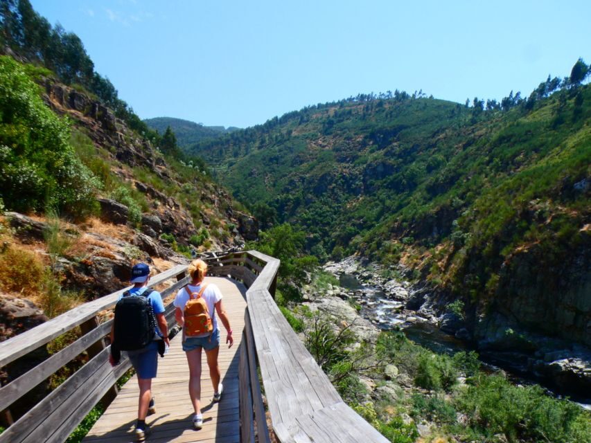 From Porto: 516 Arouca Bridge and Paiva Walkways Guided Tour - An In-Depth Look at the Experience