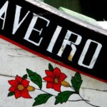 From Porto: Aveiro Half-Day Tour with 1-Hour Cruise - The Value Proposition