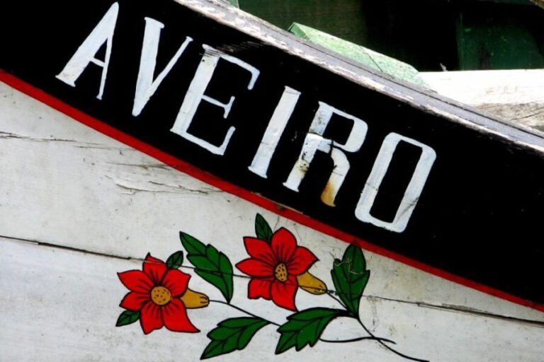 From Porto: Aveiro Half-Day Tour with 1-Hour Cruise - The Value Proposition
