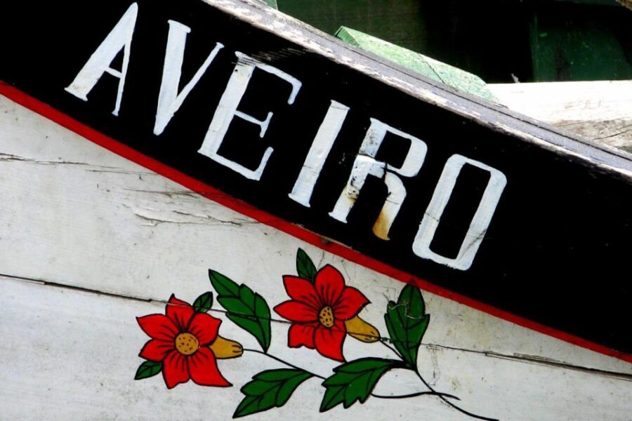From Porto: Aveiro Half-Day Tour with 1-Hour Cruise - The Value Proposition