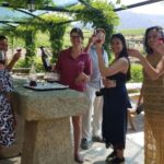 From Porto: Douro Valley 3 Vineyards Tour with Lunch - A Practical Look at the Tour Experience