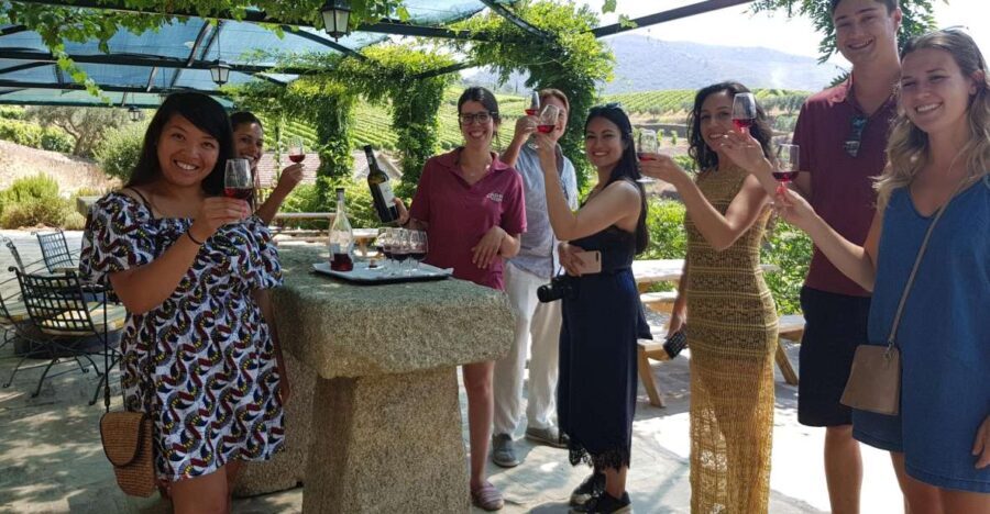 From Porto: Douro Valley 3 Vineyards Tour with Lunch - A Practical Look at the Tour Experience