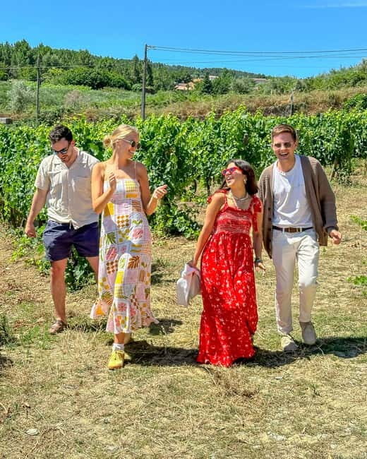 From Porto: Douro Valley Private Tour w/ 3 Wineries & Lunch - The Sum Up