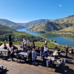 From Porto: Douro Valley Wine Tasting Tour With Hotel Pickup - A Deep Dive into the Experience