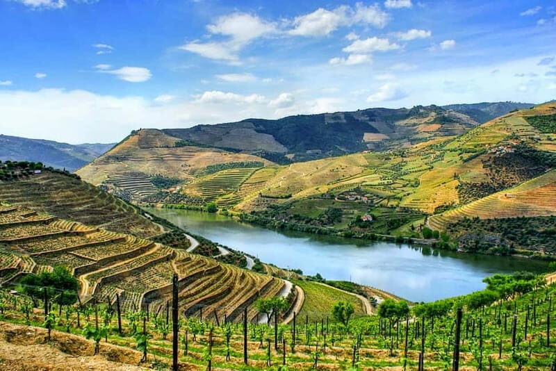 From Porto: Douro Valley with Wineries, Lunch and Boat Trip - What Sets This Tour Apart?