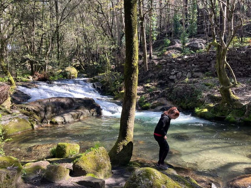 From Porto: Forest Waterfalls & Roman Ruins Trail Tour - The Treasured Waterfalls: Quedas da Fervença