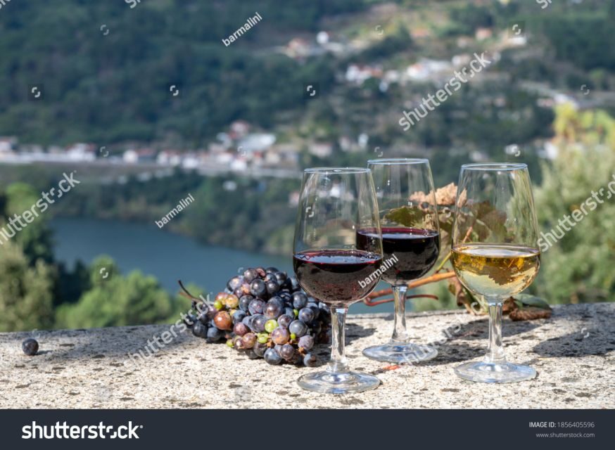 From Porto: Full-Day Douro Historical Tour - Why Travelers Love This Tour