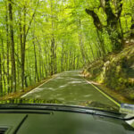From Porto: Full-Day Tour in Gerês National Park - An In-Depth Look at the Full-Day Gerês Tour