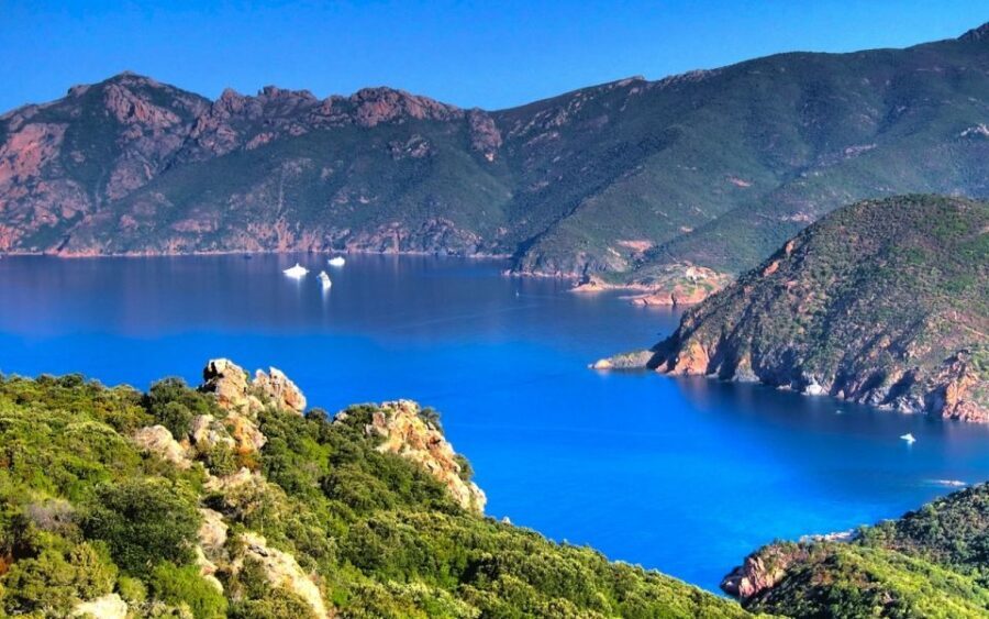 From Porto: Piana Creeks and Scandola Semi-Rigid Boat Tour - The Experience: What to Expect
