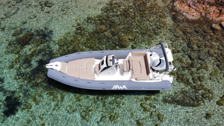 From Porto Rotondo: dinghy snorkeling tour with dolphin sighting - The Itinerary: What You’ll See and Do
