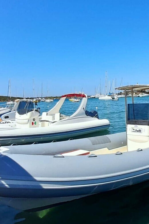 From Porto Rotondo: Private dinghy tour - Practical Details and Tips