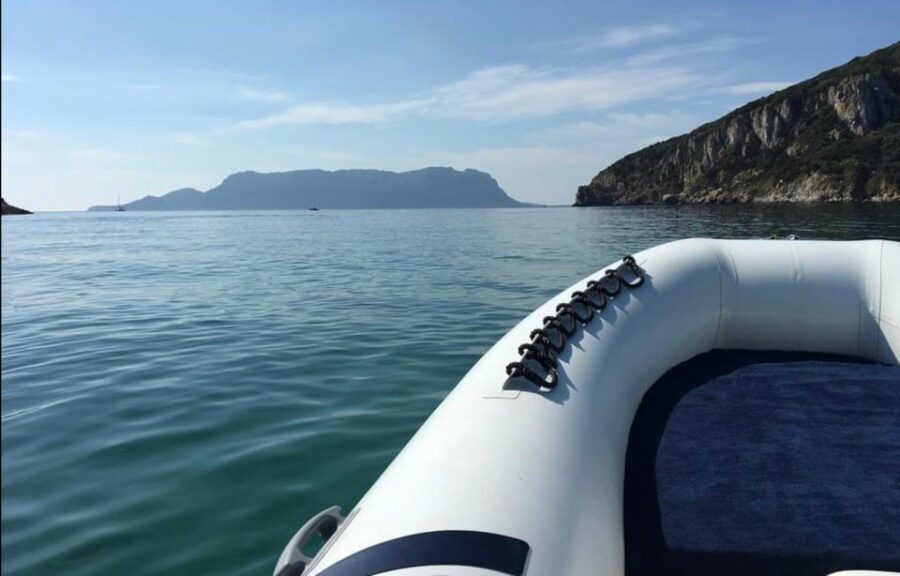 From Porto San Paolo: 4-hour boat tour to Tavolara - What Makes This Tour Stand Out
