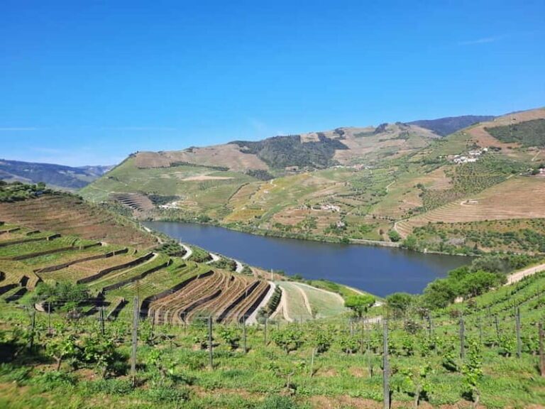 From Porto: small-group guided tour of the Douro Valley and Gerês - The Douro Valley: Vineyards, Port, and the Scenic River