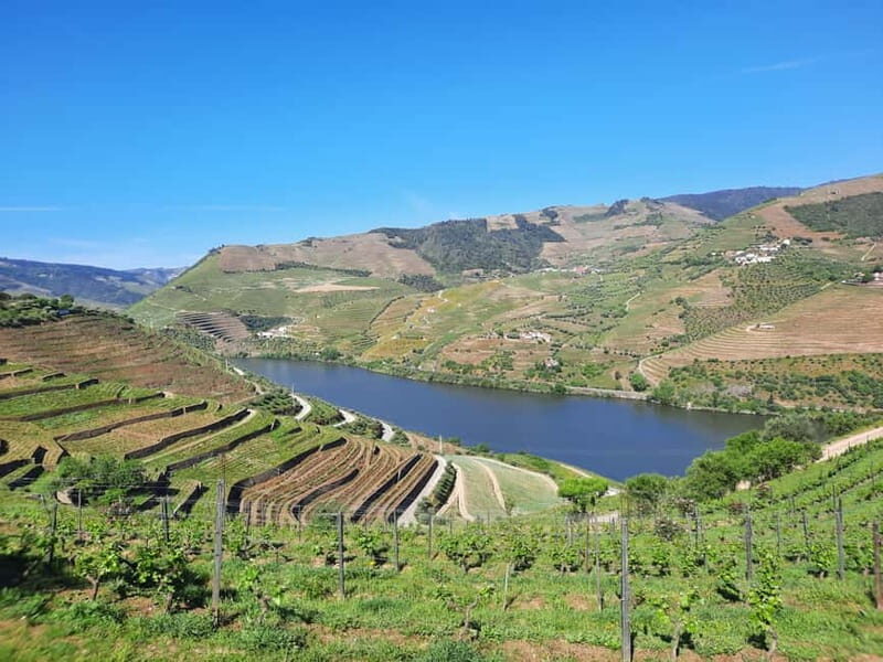From Porto: small-group guided tour of the Douro Valley and Gerês - The Douro Valley: Vineyards, Port, and the Scenic River