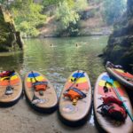 From Porto: SUP Paiva River Tour with Transfer - Is This Tour Worth the Cost?