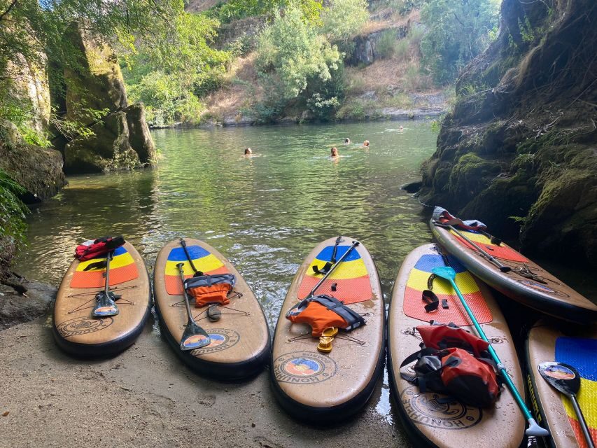 From Porto: SUP Paiva River Tour with Transfer - Is This Tour Worth the Cost?