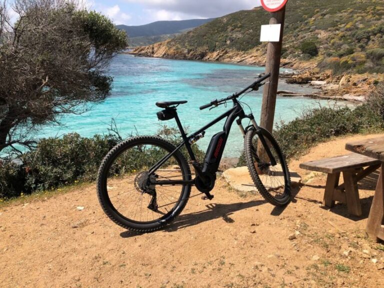 From Porto Torres: E-Bike Rental - The E-Bikes: Comfortable, Reliable, and Well-Suited for the Terrain