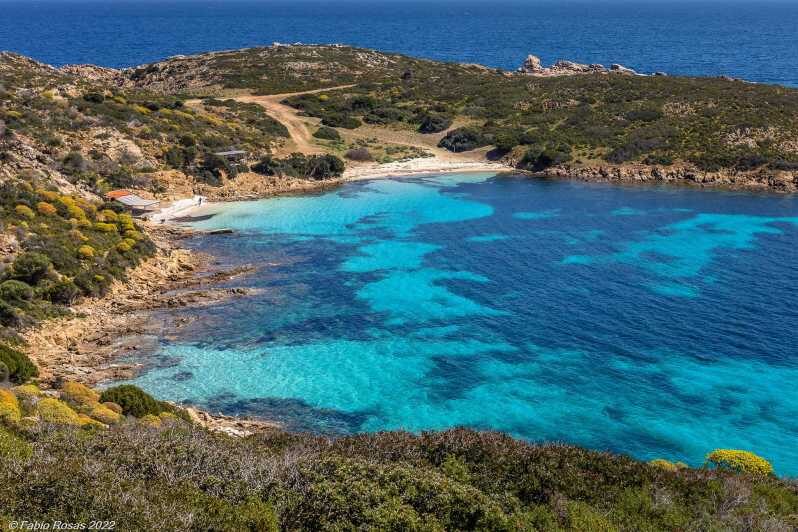 From Porto Torres: electric bicycle rental - Detailed Breakdown of the Experience
