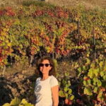 From Porto: Valle del Duero Full-Day Private Tour - Exploring the Douro Valley: What You Can Expect
