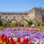 From Porto: Viana do Castelo, Braga and Guimarães Day Tour - A Detailed Look at the Itinerary