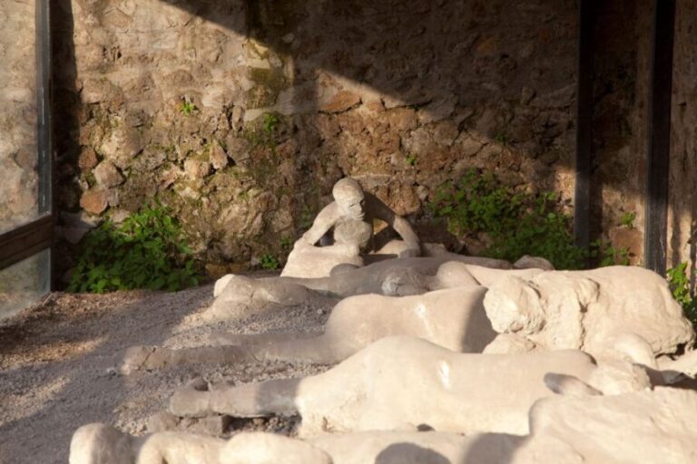 From Positano: Pompeii Ruins Small Group Guided Tour - An In-Depth Look at the Pompeii Tour Experience