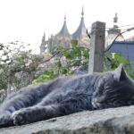 From Prague: Kutná Hora, Bone Church & Folk Museum Tour - A Day of History and Culture in Kutná Hora