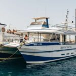 From Puerto Rico de Gran Canaria: Dolphin Watching Cruise - Wildlife Encounters: What to Expect
