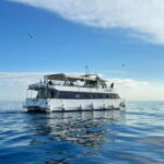 From Pula: Half-day NP Brijuni cruise with Lunch & Swimming - Practical Details and Tips