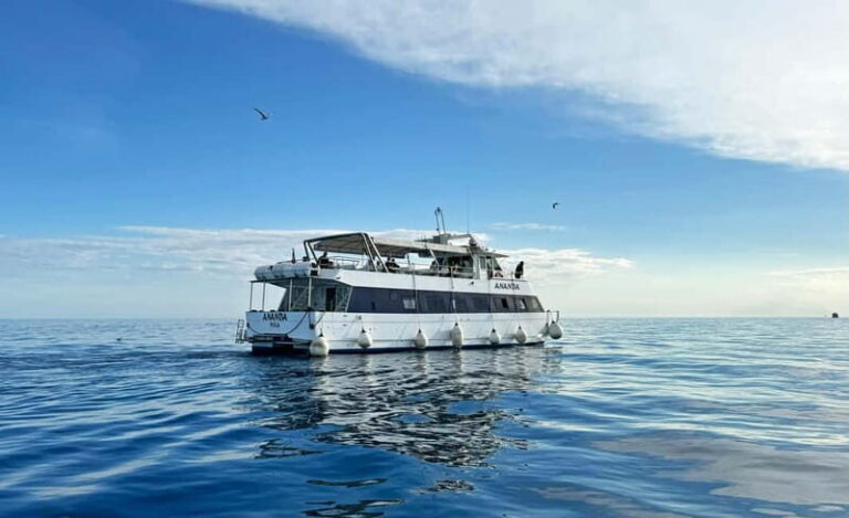 From Pula: Half-day NP Brijuni cruise with Lunch & Swimming - Practical Details and Tips