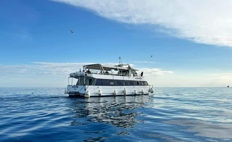 From Pula: Half-day NP Brijuni cruise with Lunch & Swimming - Practical Details and Tips