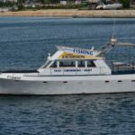 From Pula: Private Boat Tour and Brijuni National Park - Why It’s a Good Value