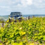From Reims: Champagne and Family-Run Wineries Tour - Is this tour worth the price?