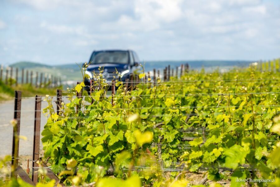 From Reims: Champagne and Family-Run Wineries Tour - Is this tour worth the price?