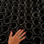 From Reims/Epernay : Food & Champagne Experience - The Experience: What Makes It Stand Out