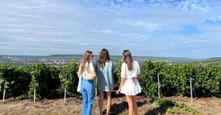 From Reims/Epernay: The Connoisseurs Private Tour 9 tastings - Key Points to Remember