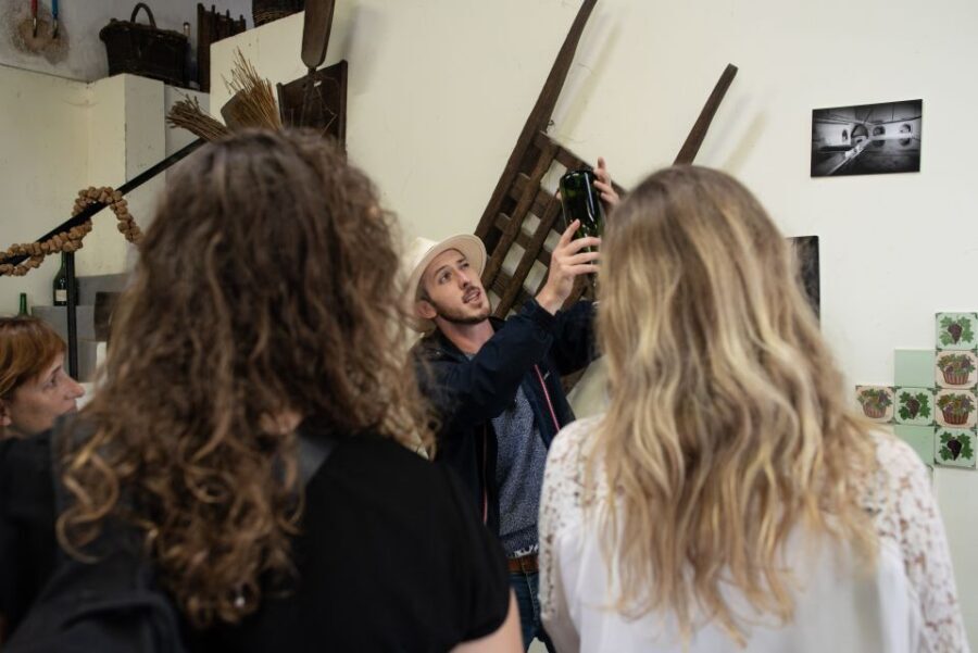 From Reims: Morning Champagne Tour and Tastings - An In-Depth Look at the Tour Experience
