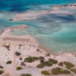 From Rethymno & Chania: Elafonisi Island Day Tour by Bus - Reviews Highlighting the Experience