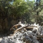 From Rethymno/Chania: Imbros Gorge Hike - The Itinerary in Detail