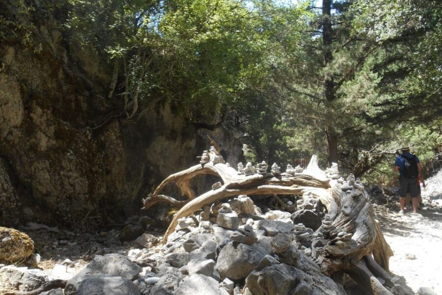 From Rethymno/Chania: Imbros Gorge Hike - The Itinerary in Detail