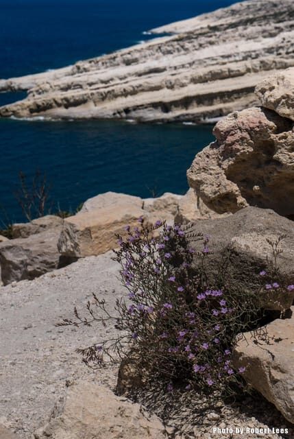 From Rethymno: Day trip to MATALA - AG.GALINI - SPILI - The Value of the Experience