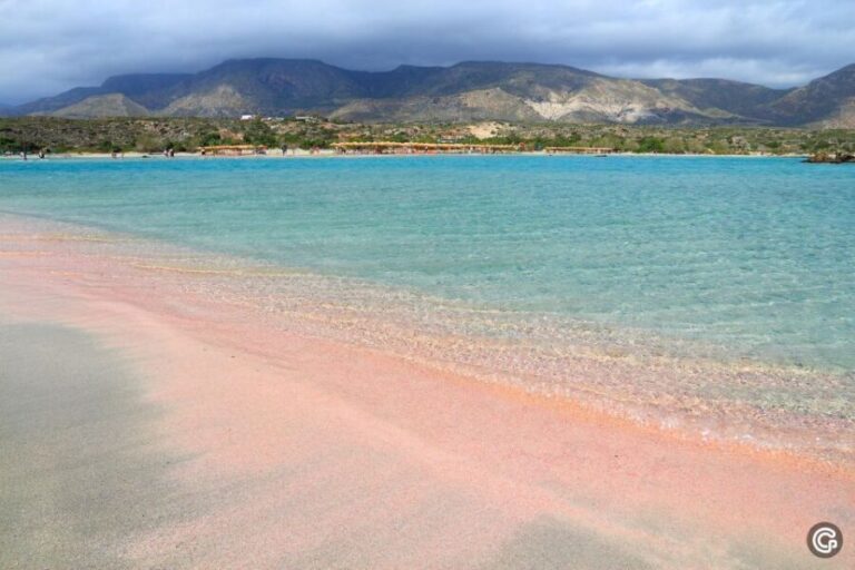 From Rethymno/Kavros: Elafonisi Island Pink Sand Beach Tour - FAQs