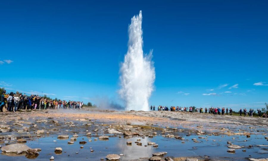 From Reykjavik: Full Day Whale Watching & Golden Circle Tour - Authentic Reviews and Traveler Insights