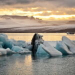 From Reykjavik: Glacier Lagoon and Fjaðrárgjúfur Canyon Tour - An In-Depth Look at the Tour Experience