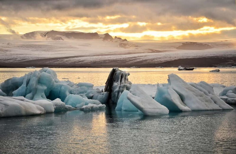 From Reykjavik: Glacier Lagoon and Fjaðrárgjúfur Canyon Tour - An In-Depth Look at the Tour Experience