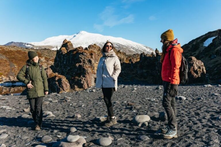 From Reykjavik: Snæfellsnes Peninsula Full-Day Tour - An In-Depth Look at the Tour Experience