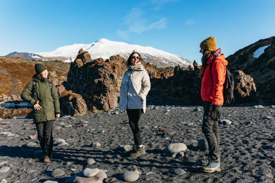 From Reykjavik: Snæfellsnes Peninsula Full-Day Tour - An In-Depth Look at the Tour Experience