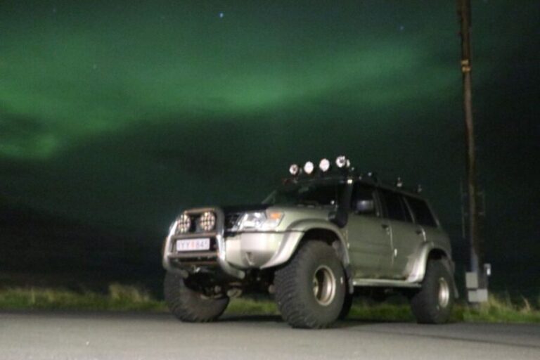 From Reykjavík: Spot the Northern Lights with Snacks & Drink - A Closer Look at Pricing & Value