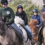 From Reykjavík: Viking Horseback Tour in Hafnarfjörður - Key Points