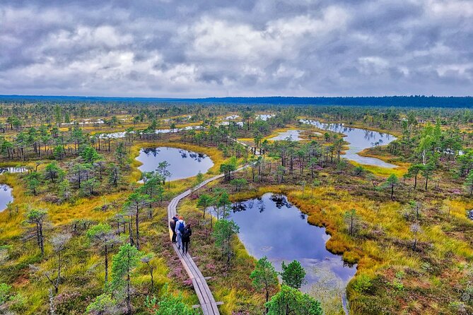 From Riga: Best of Kemeri National Park In One Day - Exploring Kemeri National Park: A Day of Nature and Serenity from Riga